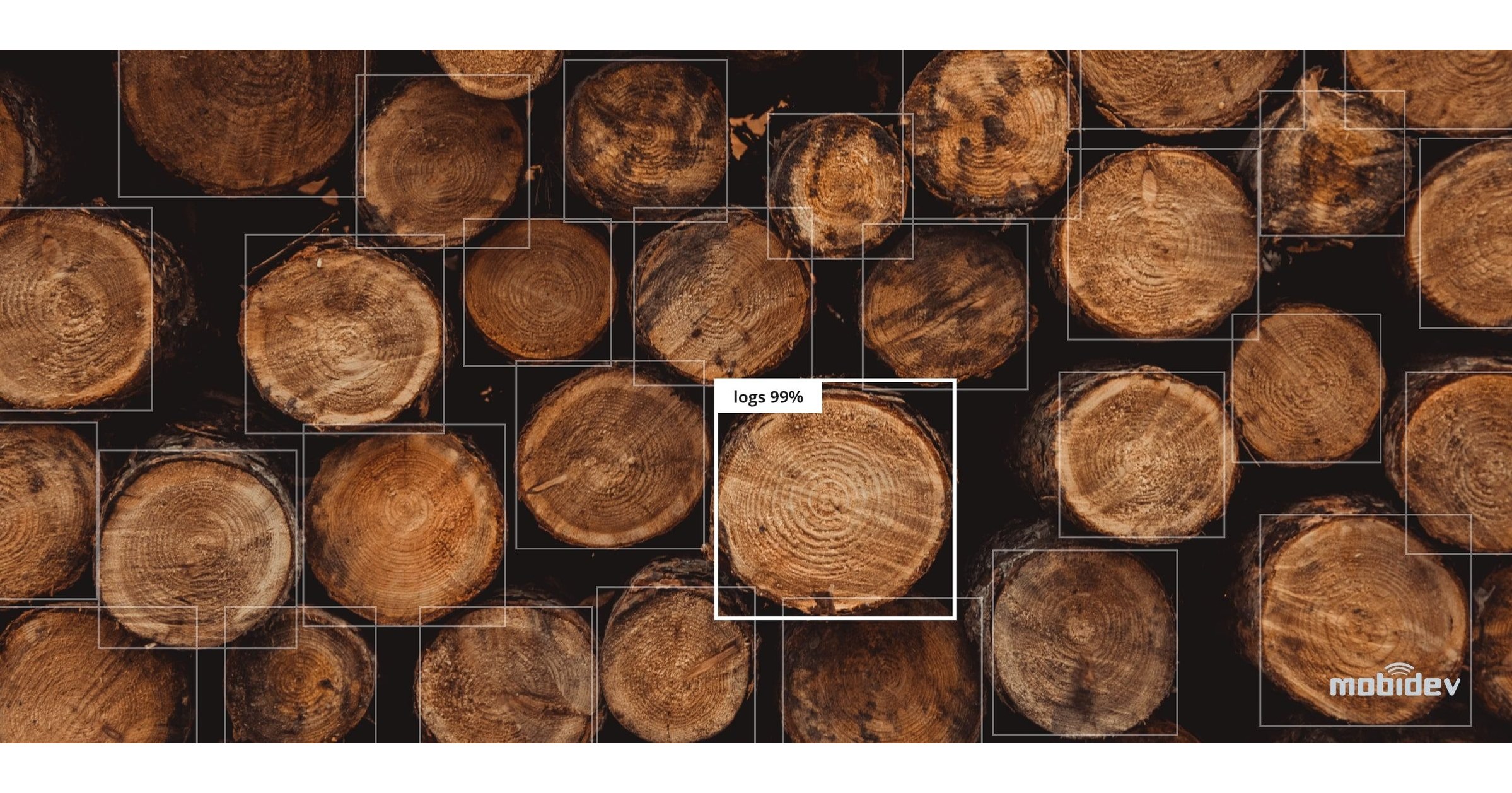 MobiDev Shares Case Study on Small Dataset-Based Object Detection