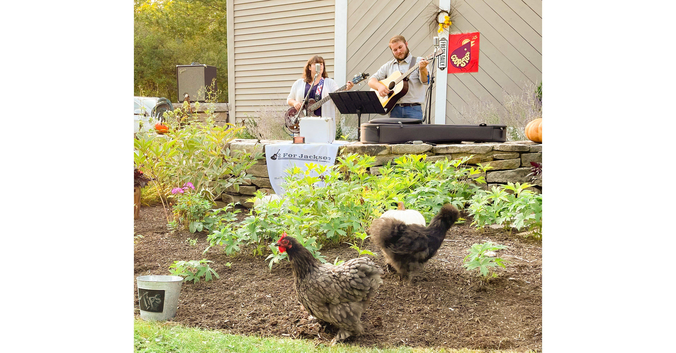 Hen Up Hosts Coopstock, the First-ever Concert for Chickens