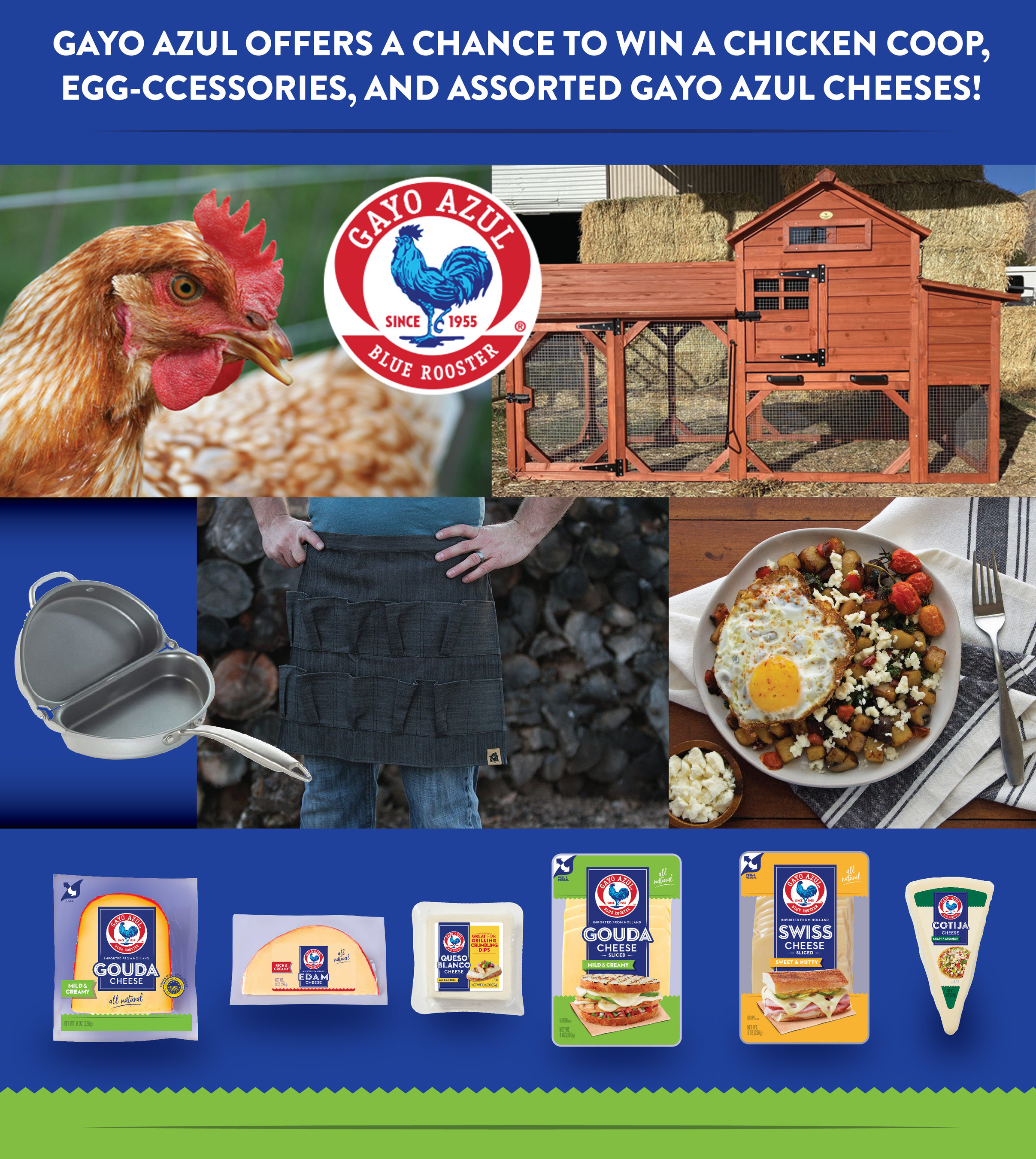Celebrate Gayo Azul Cheese and Win a Chicken Coop