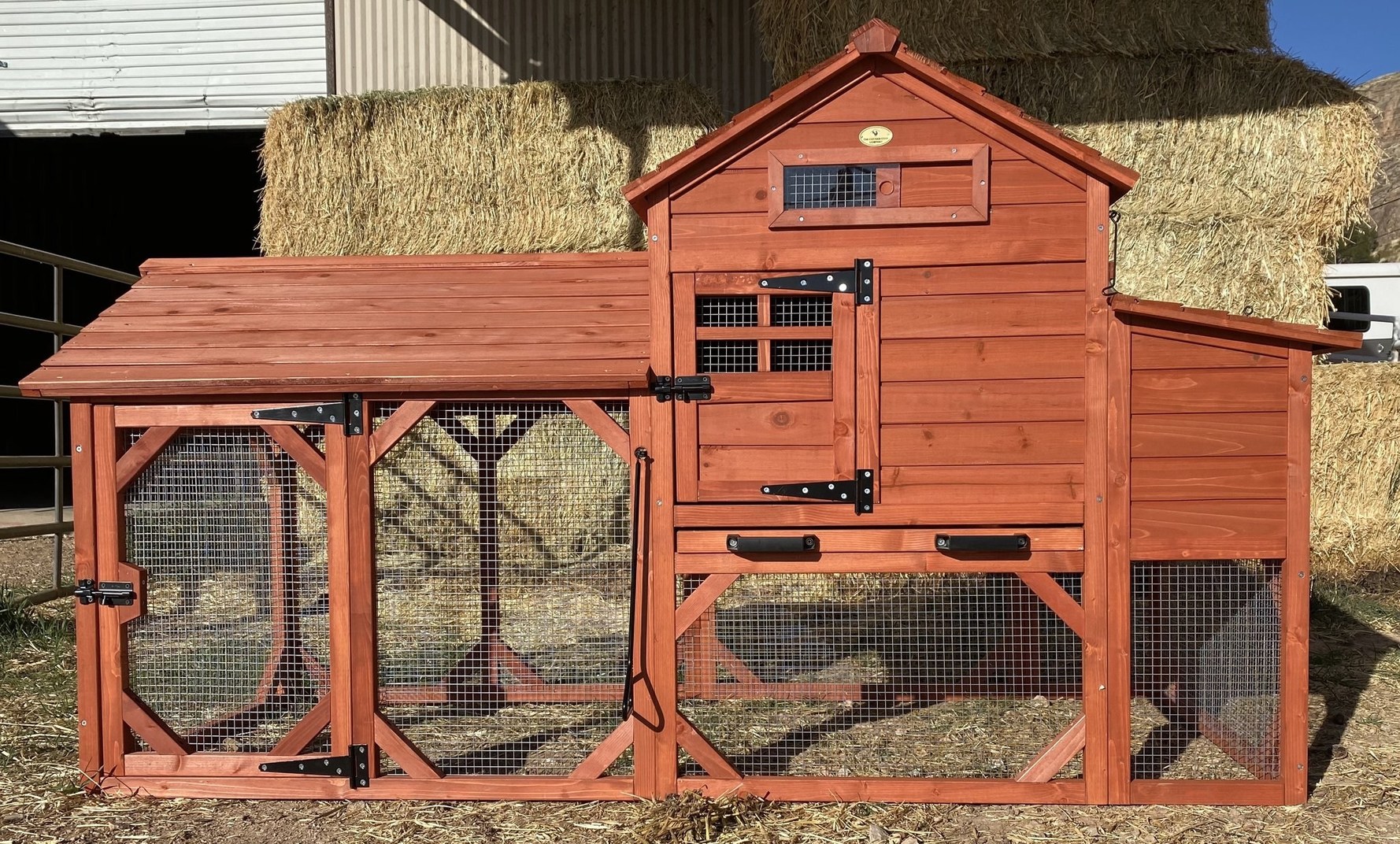 Celebrate Gayo Azul Cheese and Win a Chicken Coop
