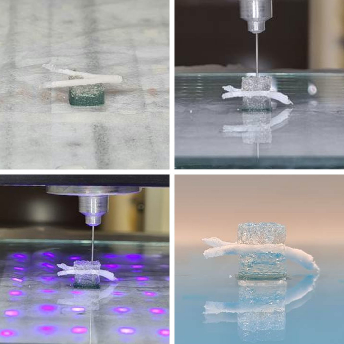 CollPlant's rhCollagen BioInk Used by Technion Researchers to Develop ...