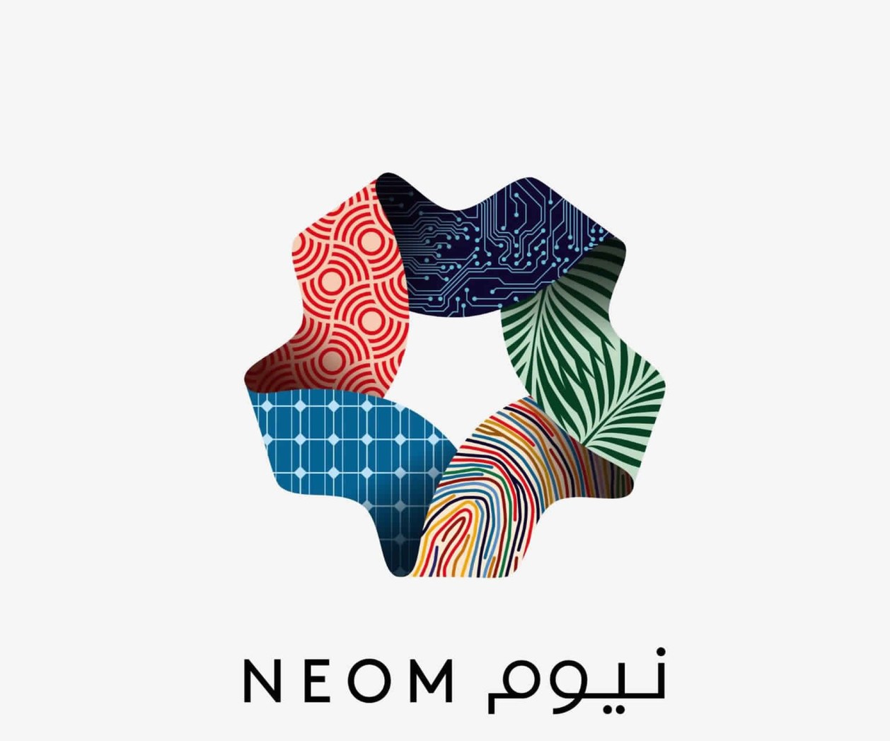 First of its kind NEOM and OceanX Red Sea expedition reveals deep sea ...