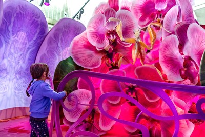 Journey through an incredible world of awe-inspiring insects in Bug Lab ...