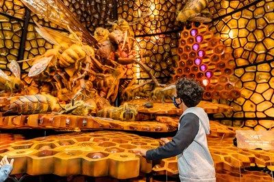 Journey through an incredible world of awe-inspiring insects in Bug Lab ...