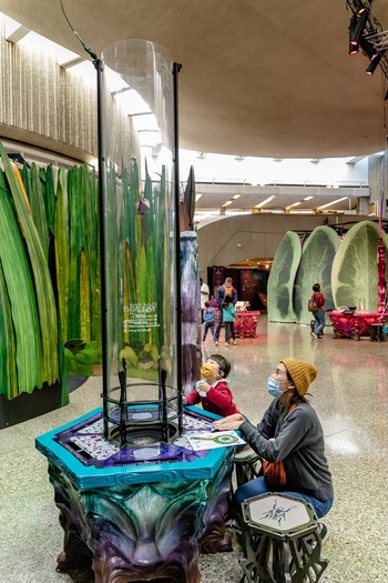 Journey through an incredible world of awe-inspiring insects in Bug Lab ...