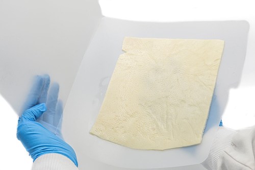 AlloSource Launches Allomend Extra-large Acellular Dermal Matrix