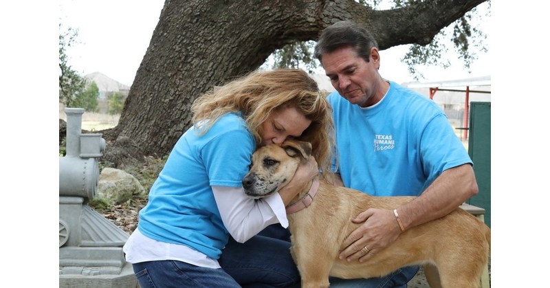 PetSmart Charities® Hosts National Adoption Week Events During November ...
