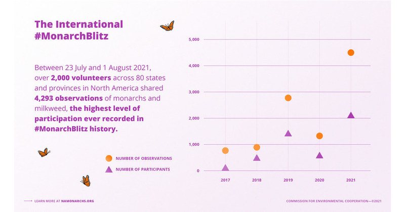 International Monarch Monitoring Blitz 2021 : unprecedented success ...