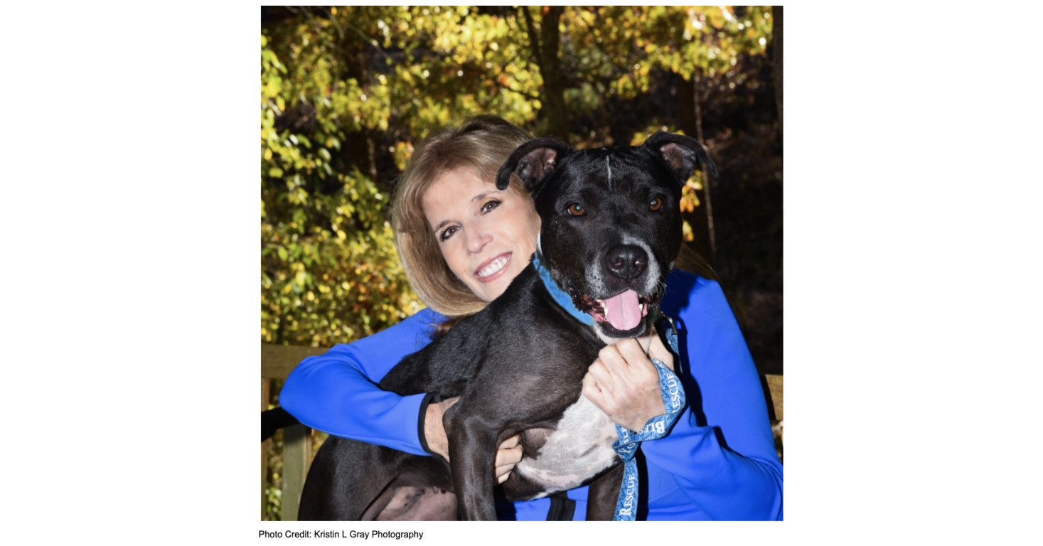 Award-winning Animal Advocate Jill Rappaport Teams up with the New 'It ...