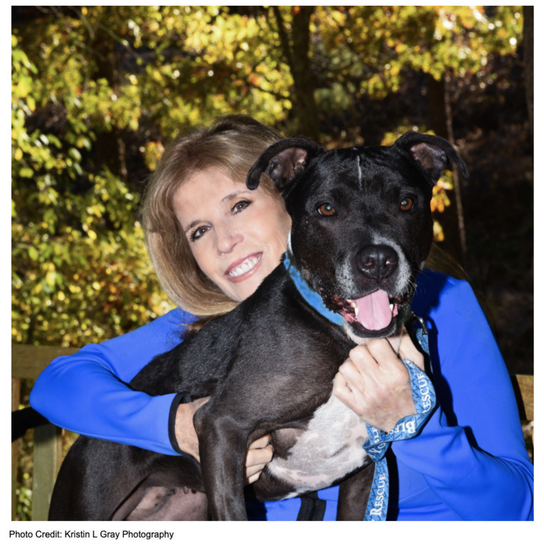 Cision - MediaStudio View Media