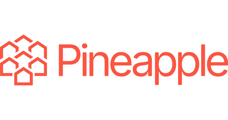 Pineapple Announces the appointment of Rupen Shah as Chief Financial Officer