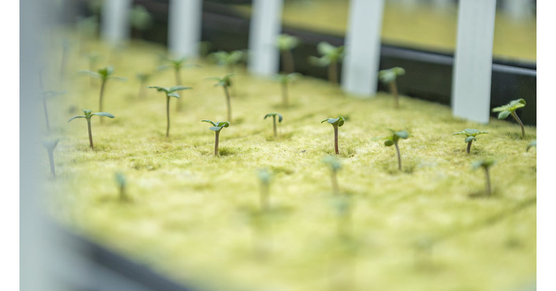 Aurora Builds on a Decade of Global Leadership in Plant Genetics with ...