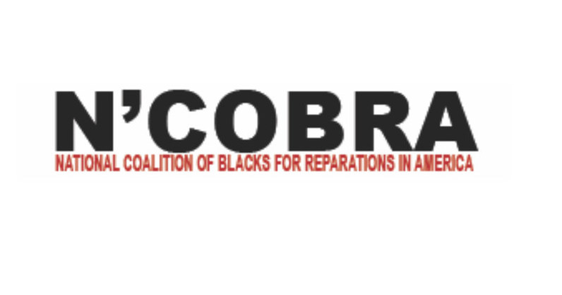 New N'COBRA Study Finds Genetic Damage from Historical Racism Linked to ...