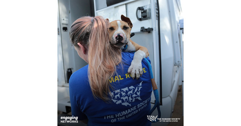 The Humane Society Of The United States Chooses Engaging Networks as ...