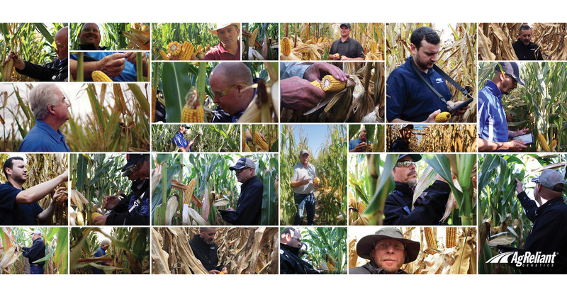 AgReliant Genetics Takes Farmers Behind the Scenes of Pre-Commercial ...