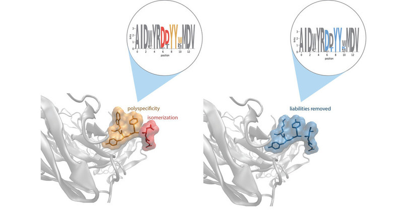 OpenEye Scientific and Specifica Partner to Launch Orion® Antibody ...
