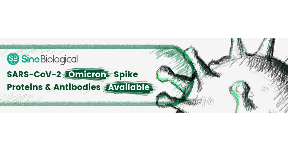 Sino Biological newly launched a panel of research reagents for SARS ...