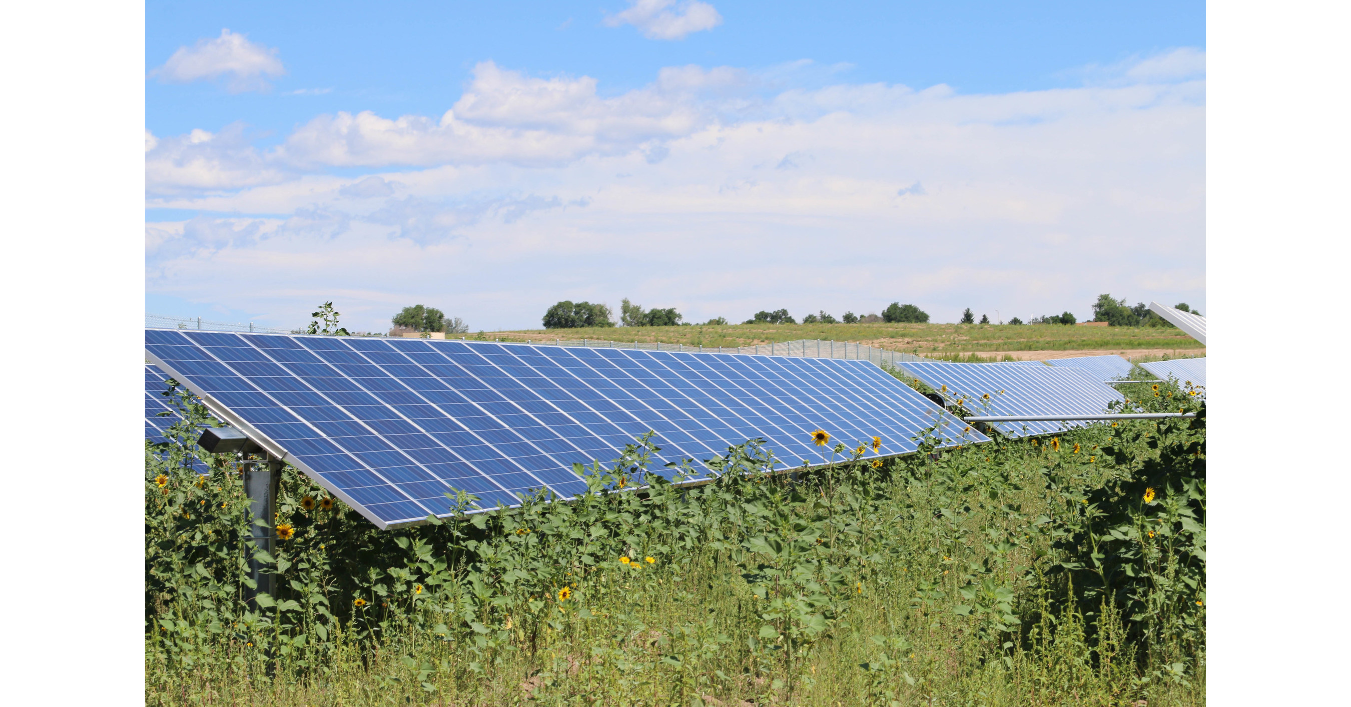 SunShare and Arc Thrift Stores Partner to Deliver Savings and Community ...