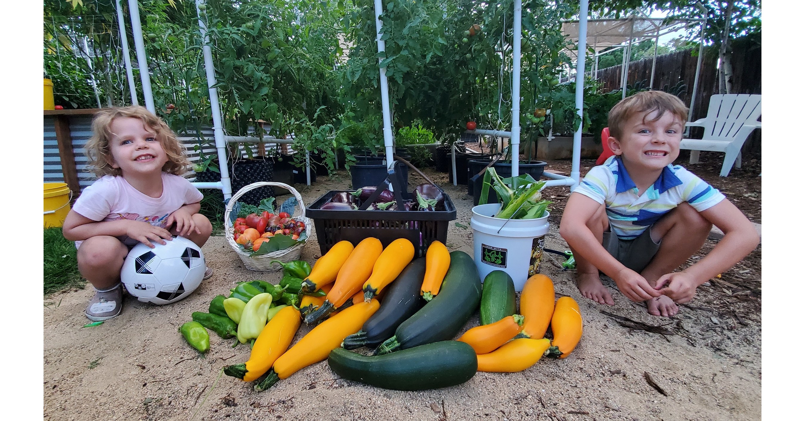 Key to Life Can Help Teach Kids to Grow Their Own Food