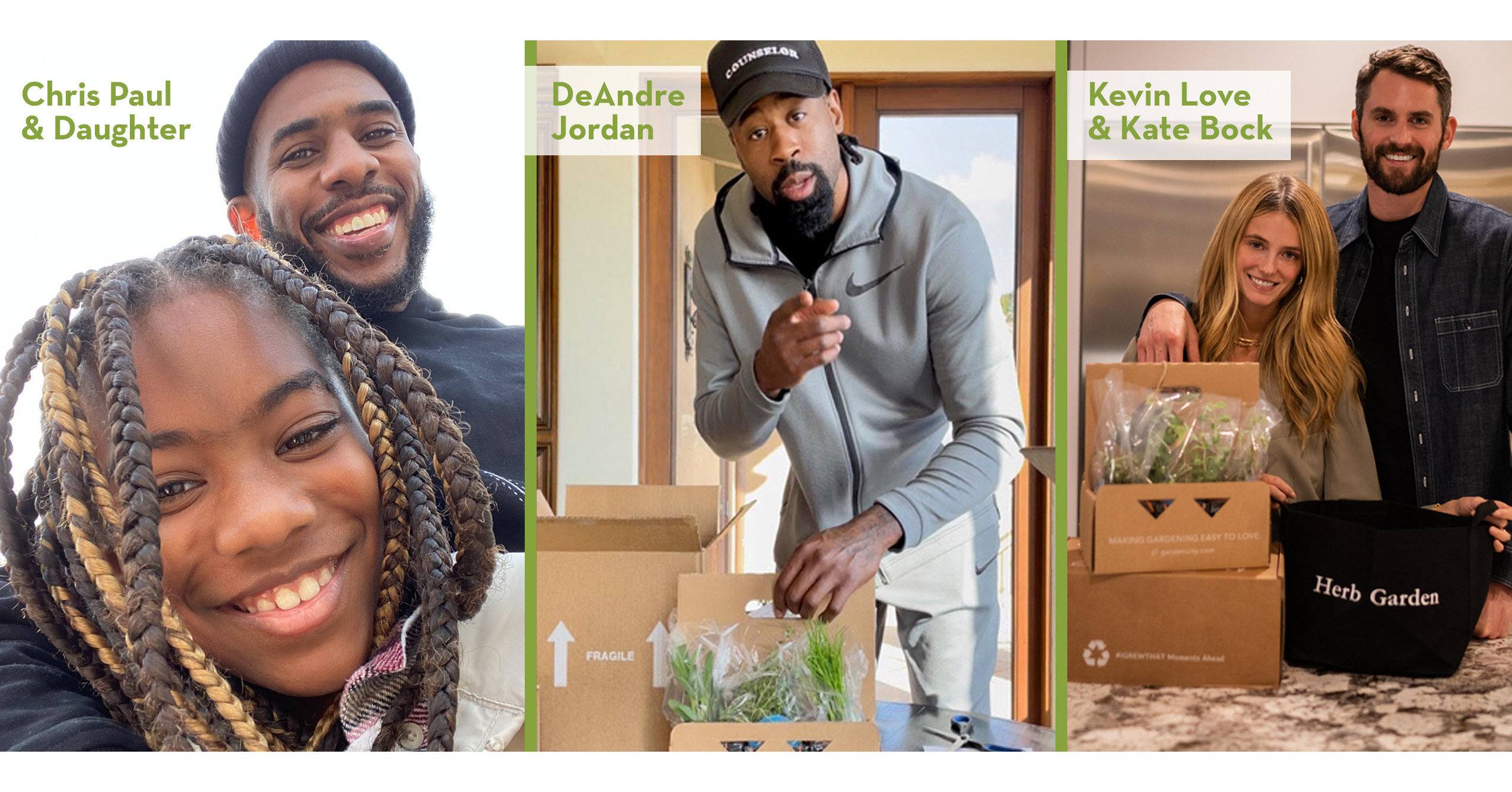 Roots Food Group Launches SEEDS + SOIL = ROOTS: "Growing Your Way to ...