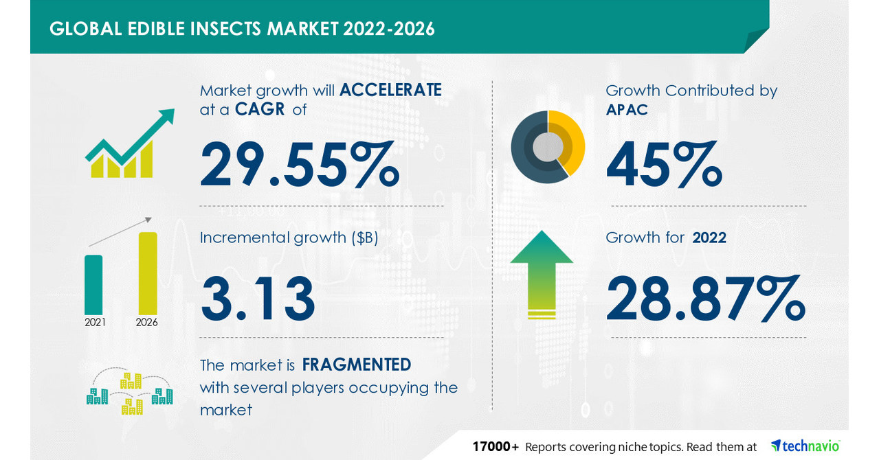 Edible Insects Market Size to Register USD 3.13 bn Growth | Technavio