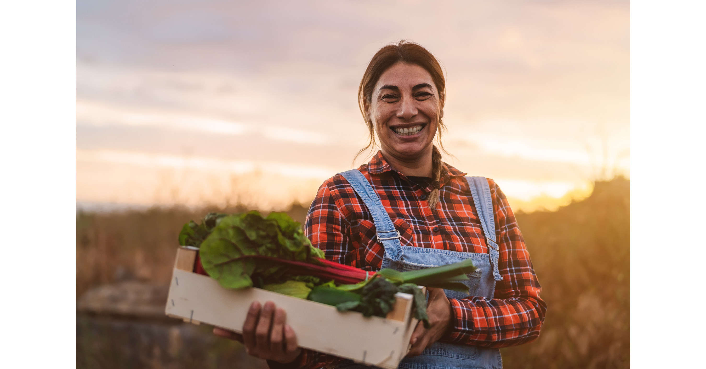 Diversity and Equality Fuels Charitable Giving by Preferred Employers ...