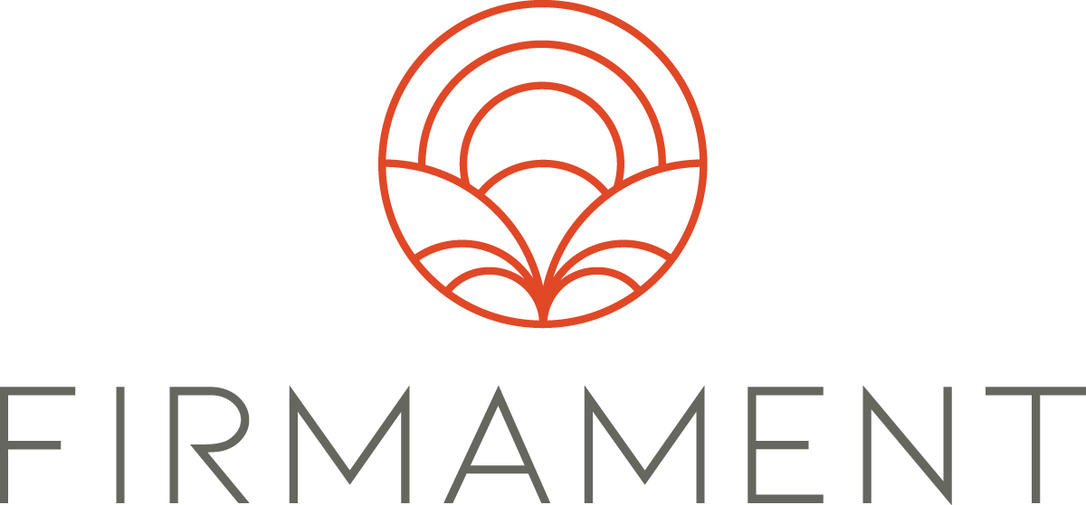 Firmament Stars Beyond The Firmament The New York Times