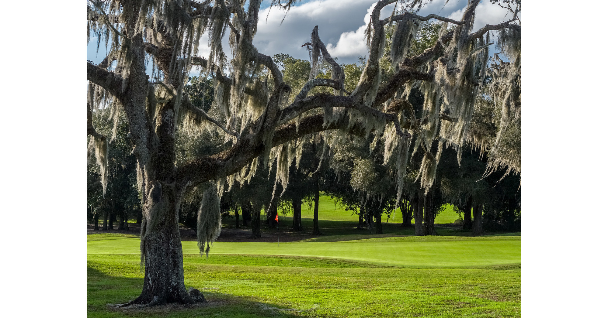 CABOT ANNOUNCES FIRST U.S. PROJECT WITH CABOT CITRUS FARMS IN FLORIDA