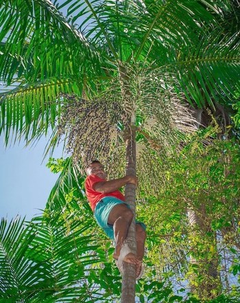 Lessons from the Amazon: How Sustainability Plays a Big Role in ...