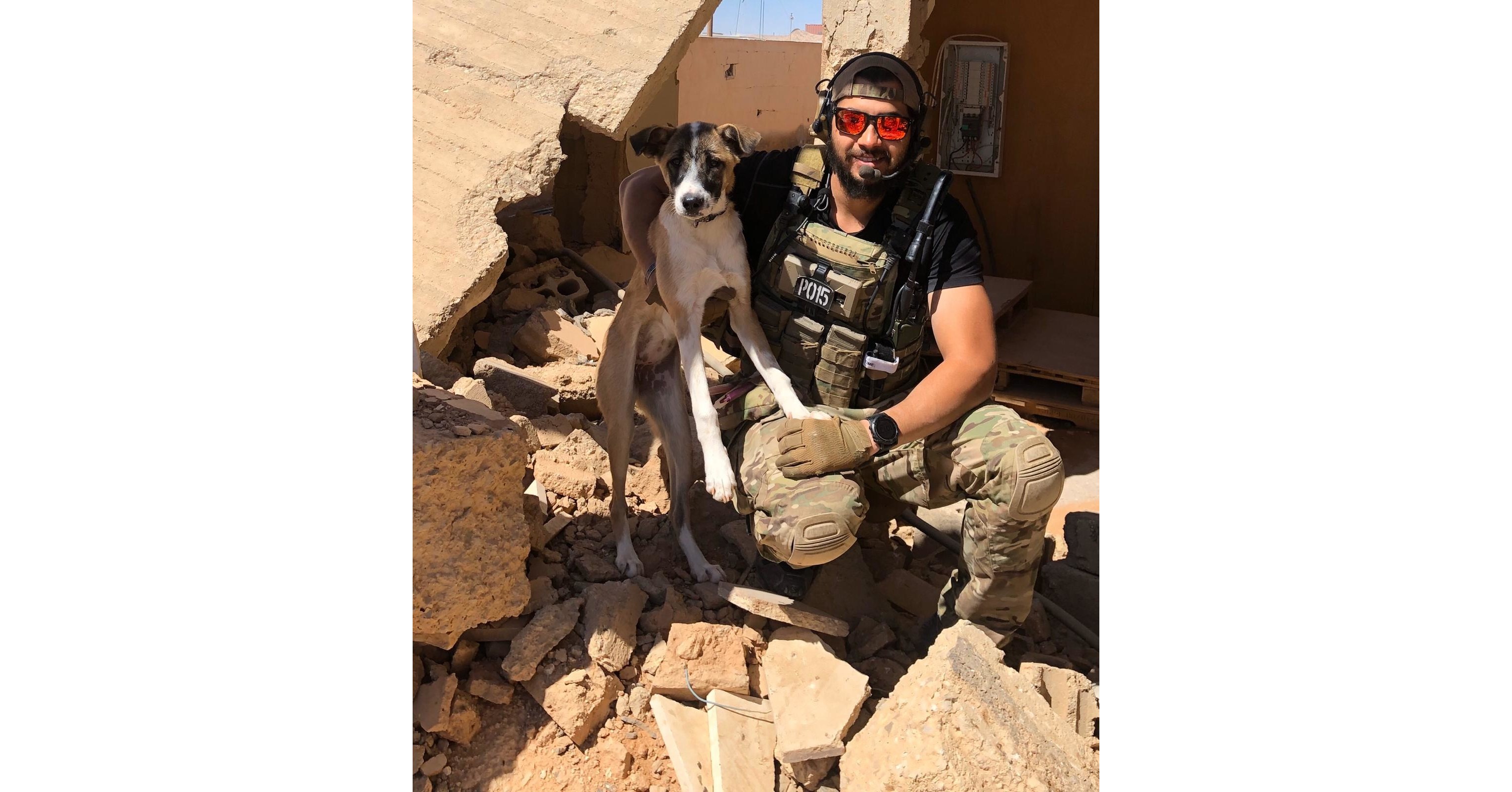 Paws of War issues call to support record number of animals rescued for ...