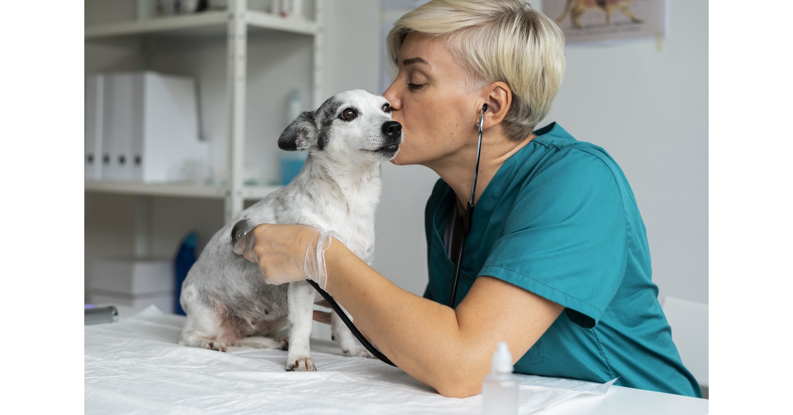LIVISTO launches self-care platform for veterinarians HappyVetProject