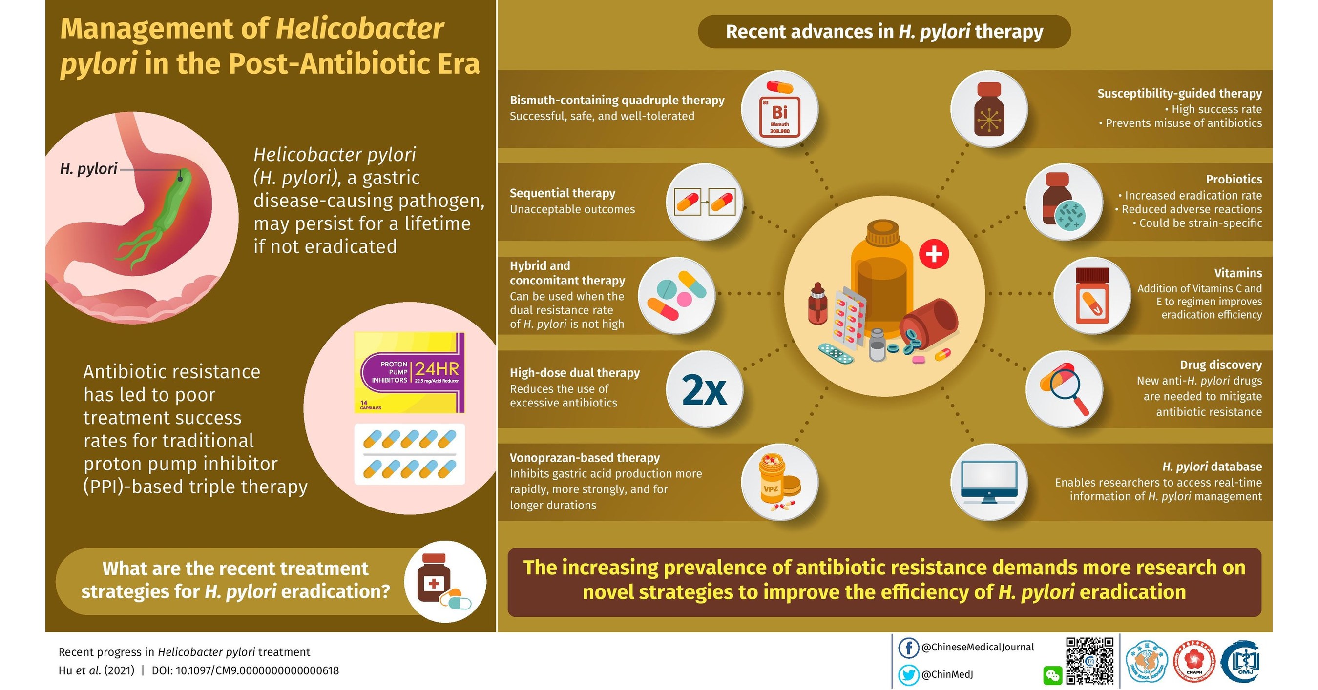 Chinese Medical Journal Review Delves into Helicobacter pylori Treatment