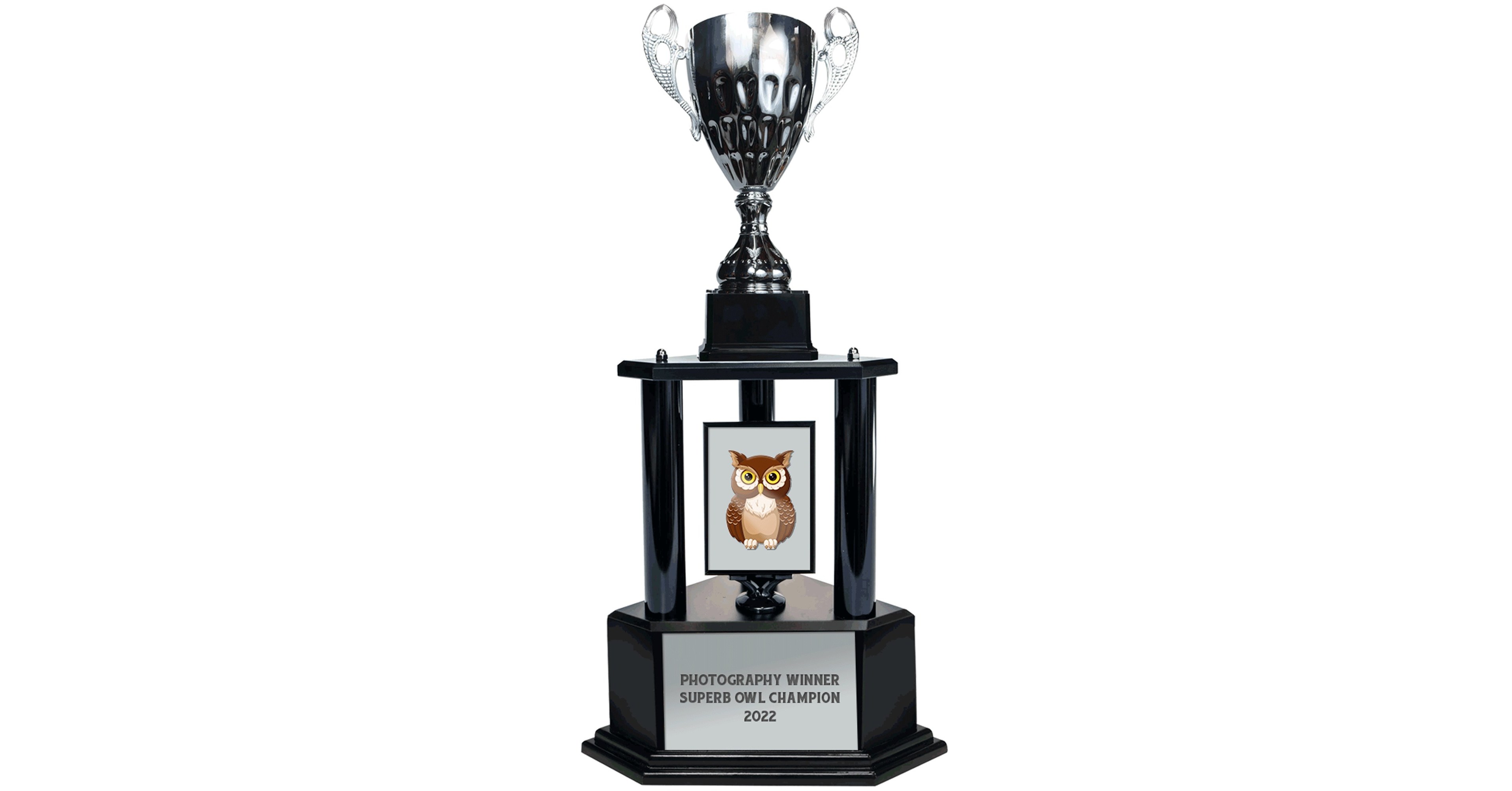 Inaugural 'Superb Owl' Competition Launches