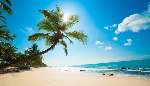 CELEBRATE NATIONAL PLAN FOR VACATION DAY BY BOOKING YOUR NEXT TRIP WITH ...