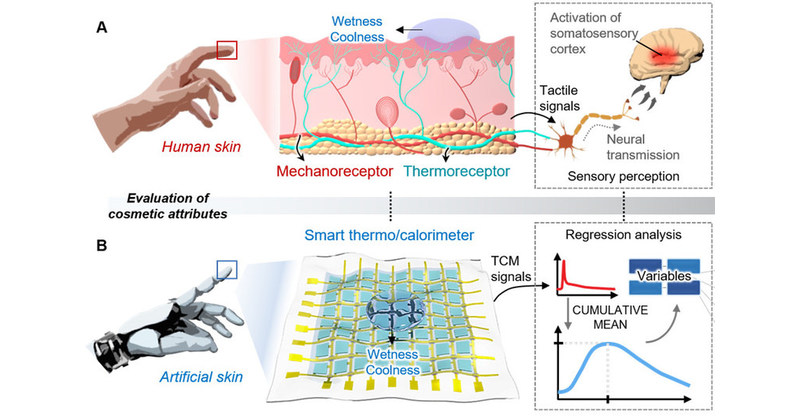 Amorepacific Develops the World's First Tactile Sensor That Measures ...