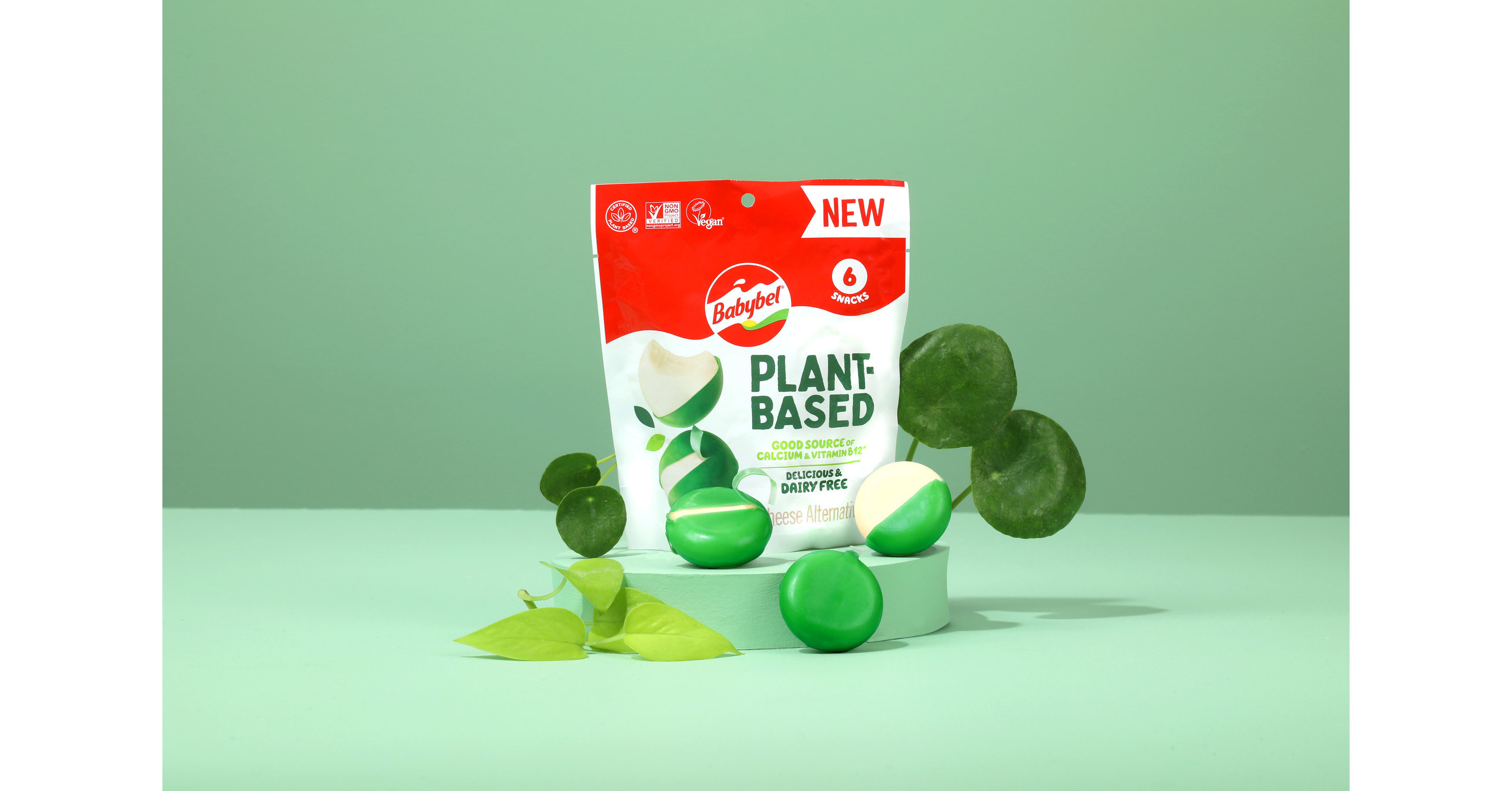 BEL BRANDS USA EXPANDS LINEUP OF PLANT-BASED CHEESE OFFERINGS ...