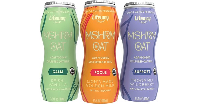 Lifeway Foods® to Introduce New Line of Adaptogenic Functional Mushroom ...