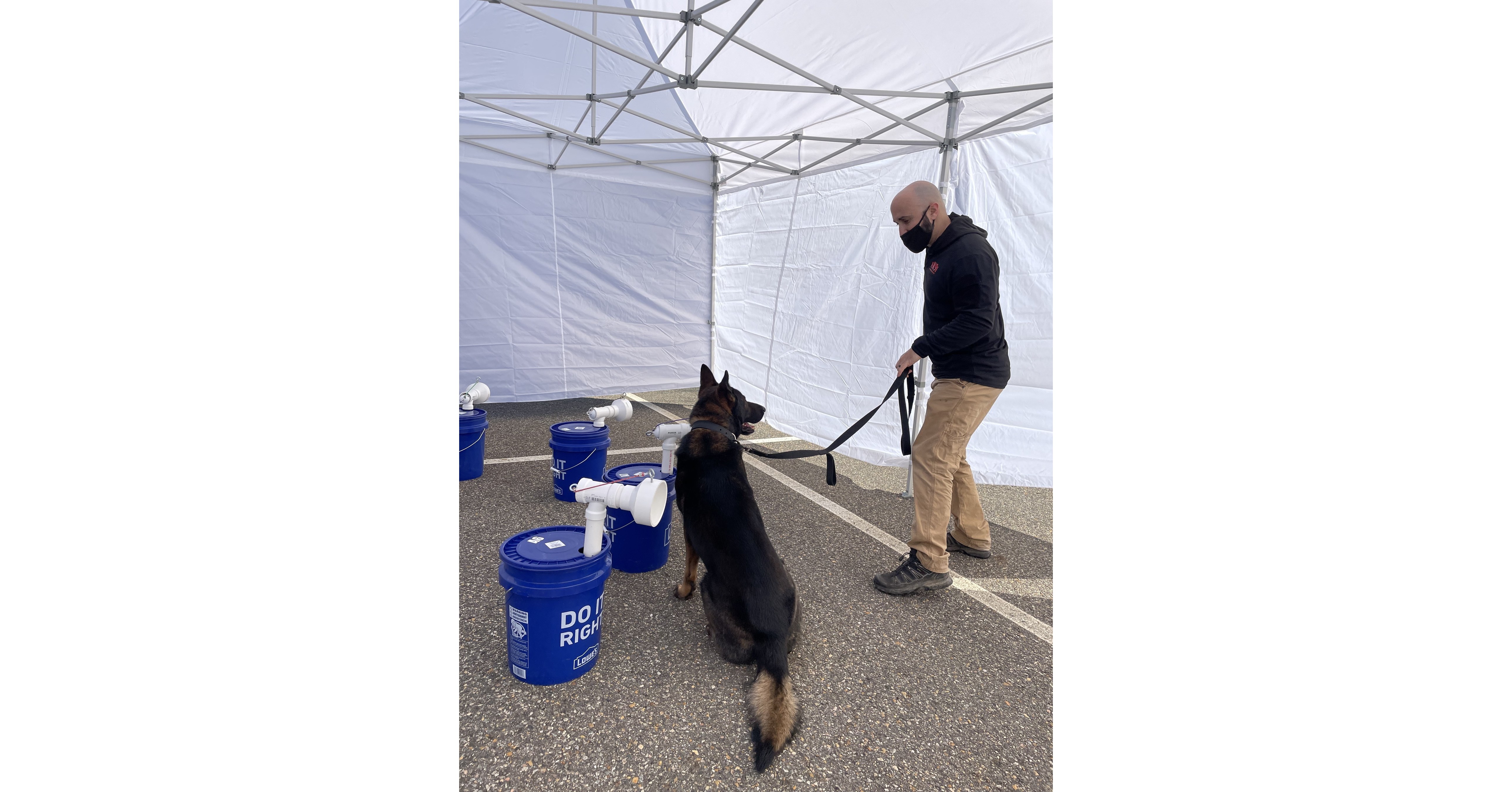 MozaicID Partners with AK9I™ to Deploy K9 Covid Testing Solution