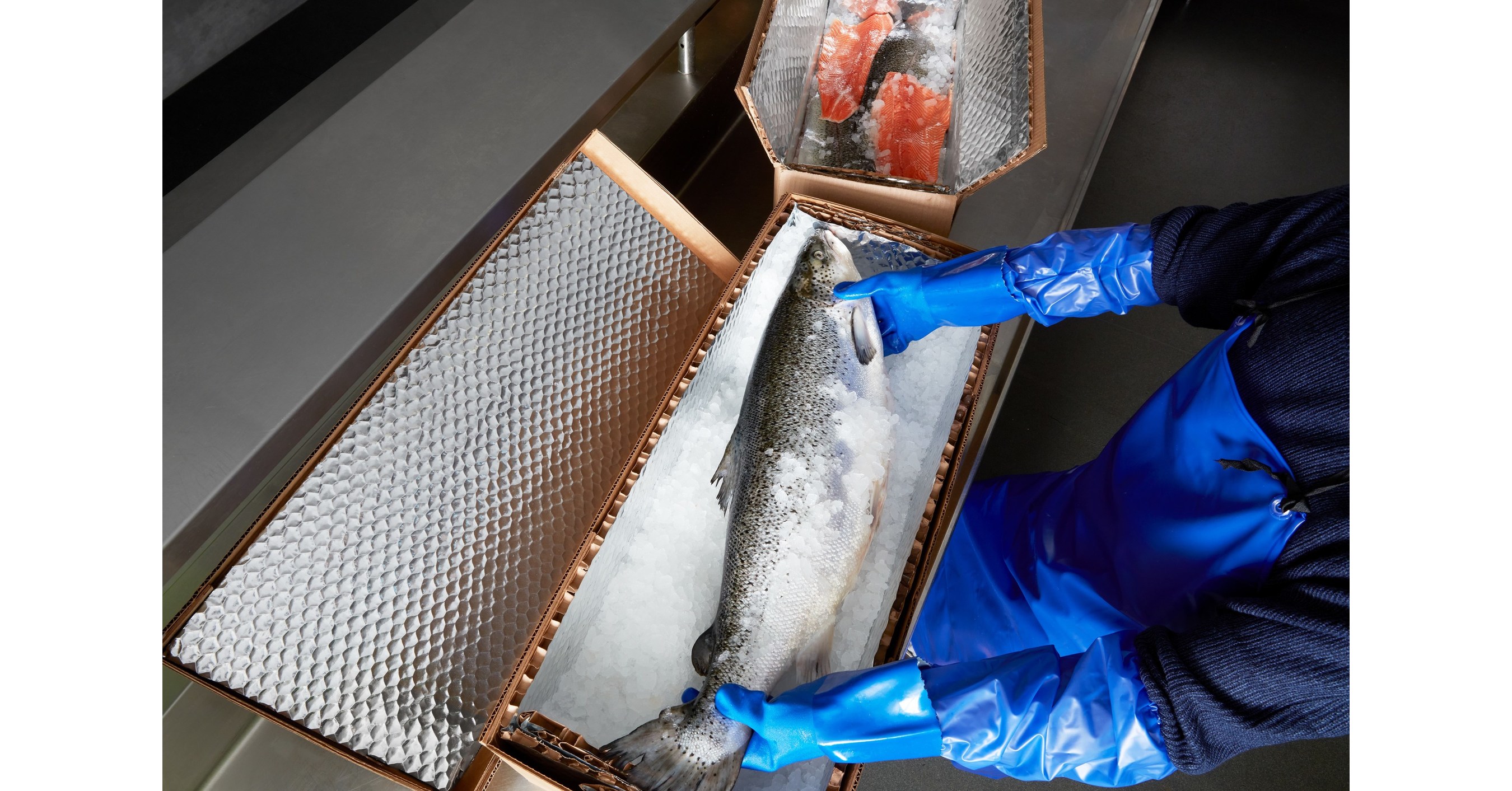 CASCADES LAUNCHES EXPANSION PLAN IN THE ISOTHERMAL PACKAGING MARKET