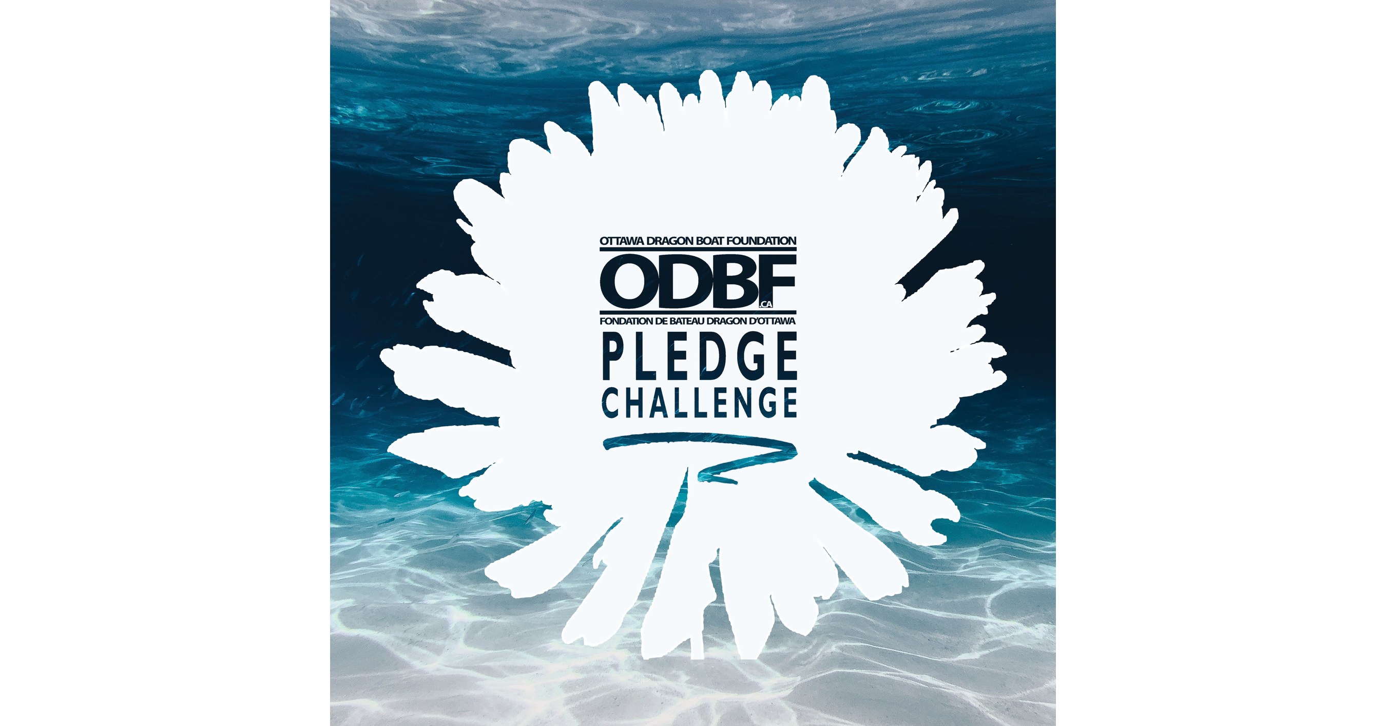 ODBF PLEDGE CHALLENGE ANNOUNCES ITS 2022 RECIPIENTS