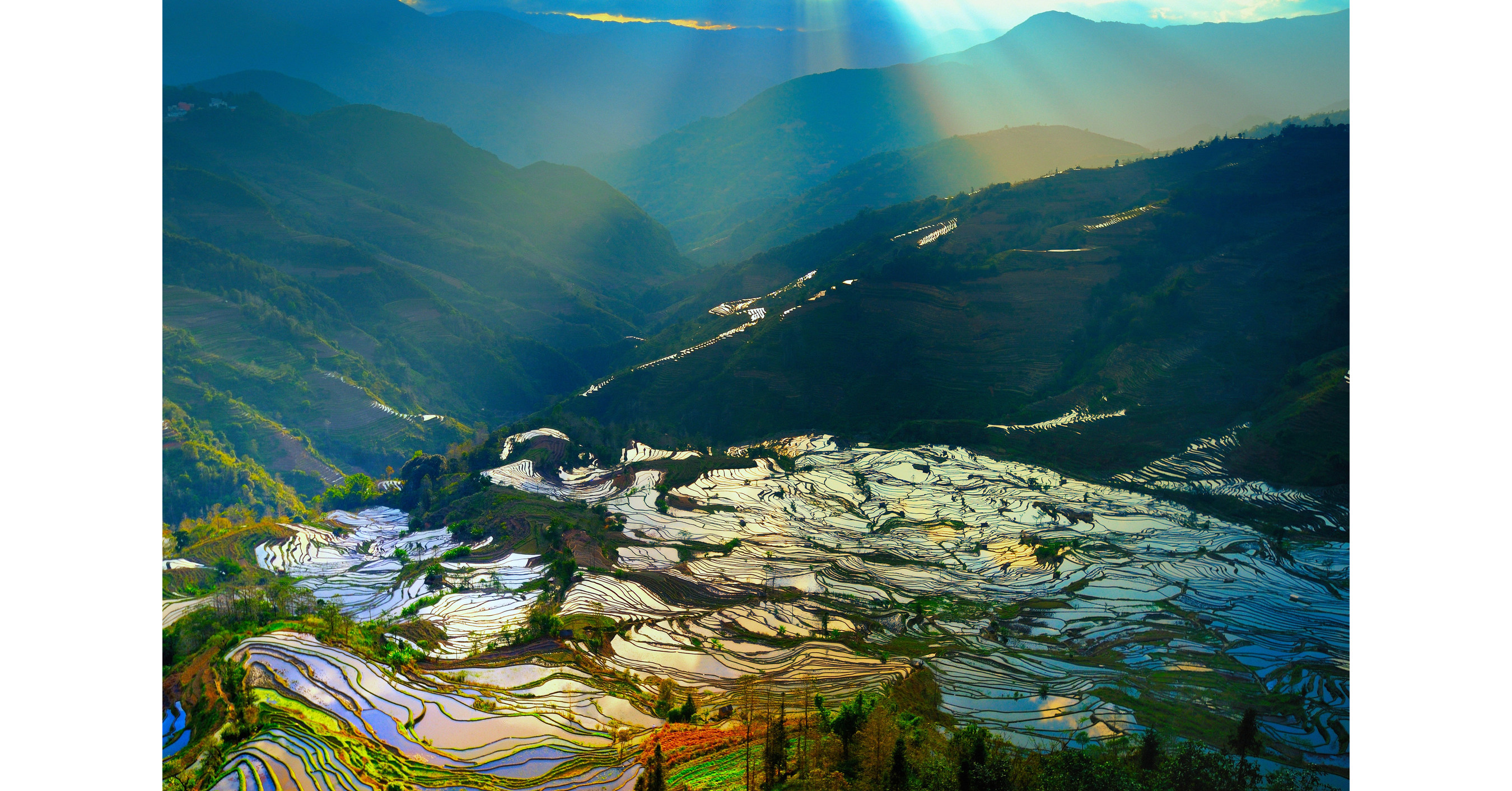 Nature Research Custom Media: SHAPING THE FUTURE OF OMICS FOR ALL