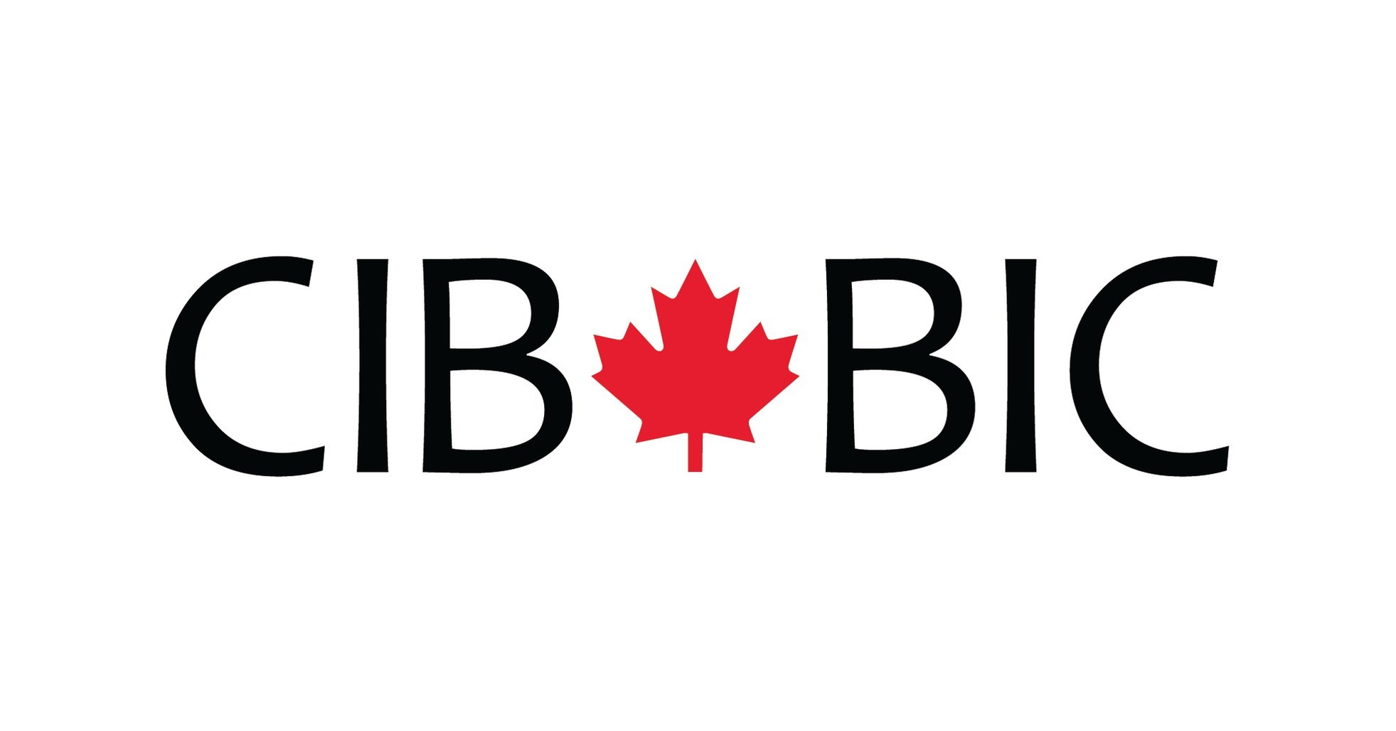 New Indigenous Community Infrastructure Initiative financing to support ...