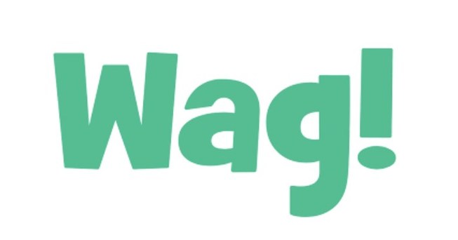 Wag! Survey Reveals People Returning To Work Will Miss Their Dog More ...