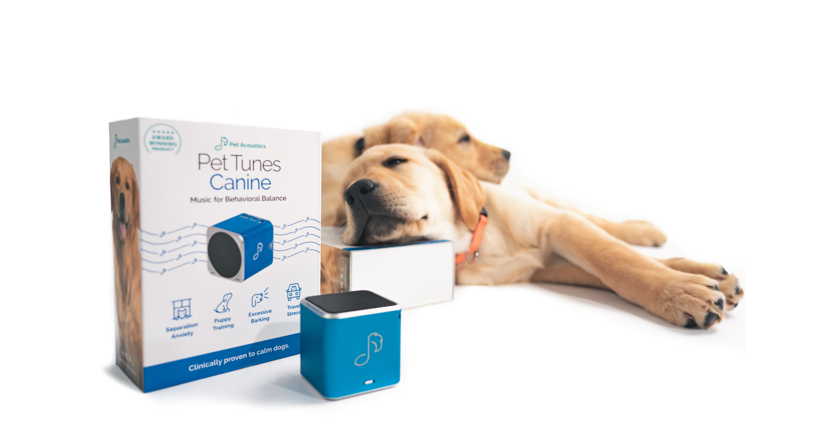 Pet Acoustics Rescue Initiative Releases Music Video to Inspire Animal ...