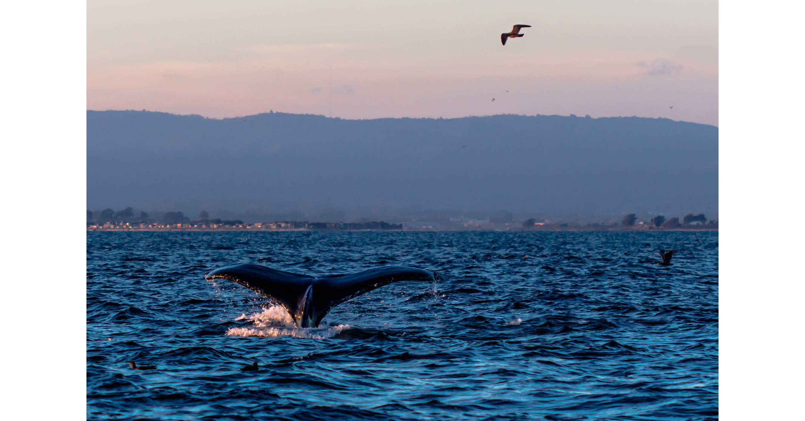 8 Spots for a Spring Getaway to the California Central Coast