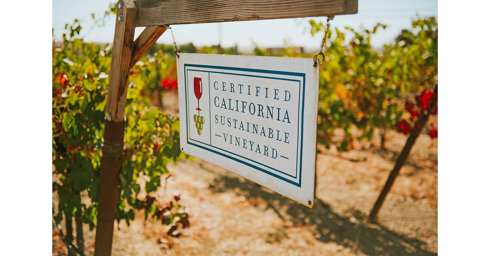 Celebrate California Wine's Sustainability Leadership During "Down to ...