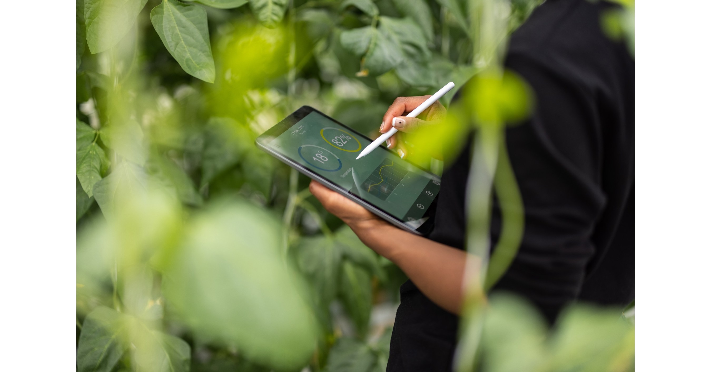 Crowe LLP Launches New ESG Center of Excellence