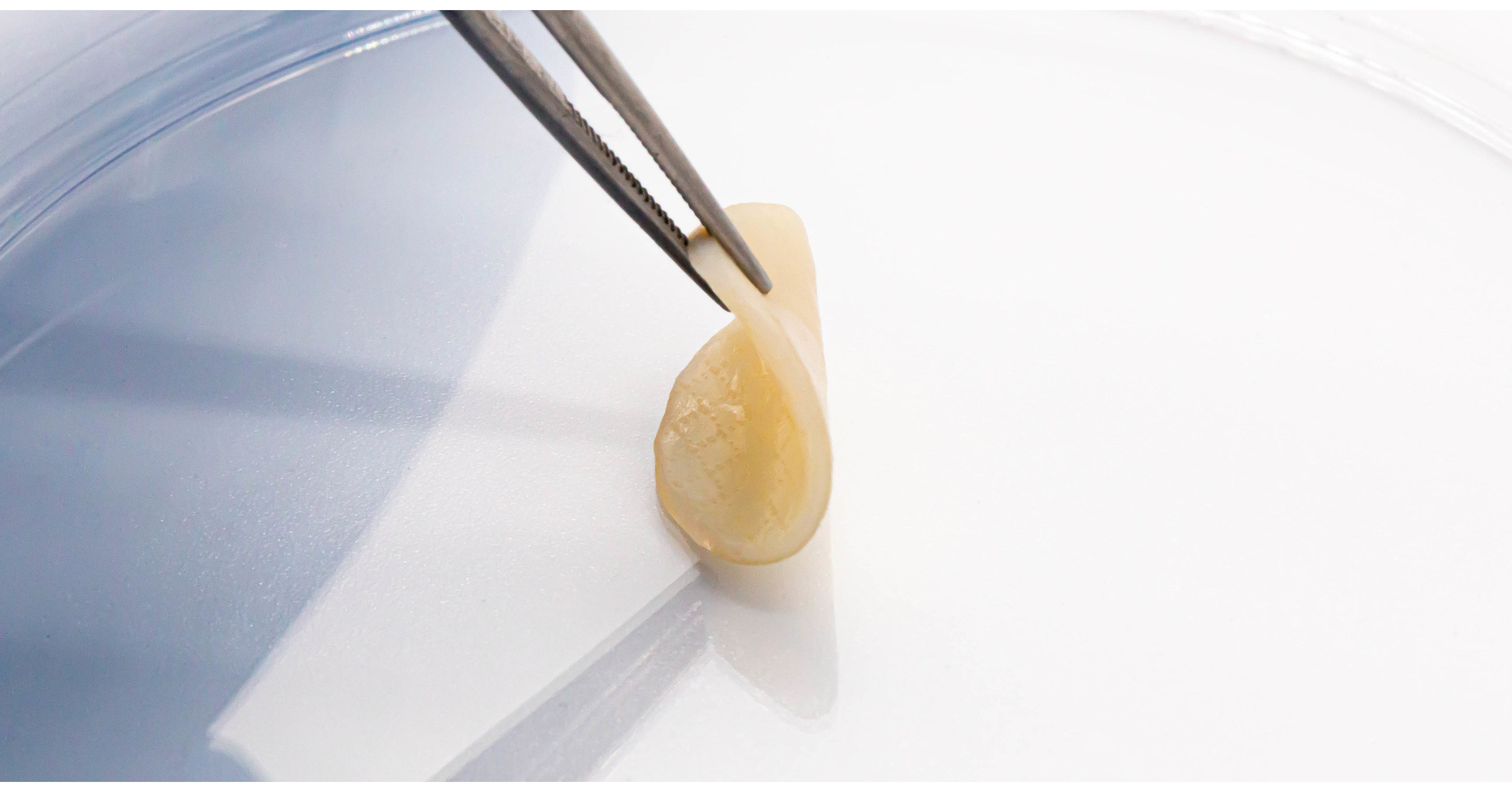 ALLOSOURCE'S CARTILAGE ALLOGRAFT EXPERTISE TO BE FEATURED AT THE ...