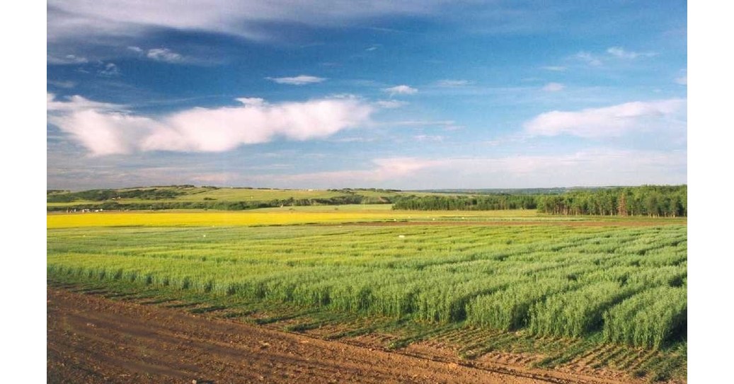 Genome BC and the Investment Agriculture Foundation of BC partnering to ...