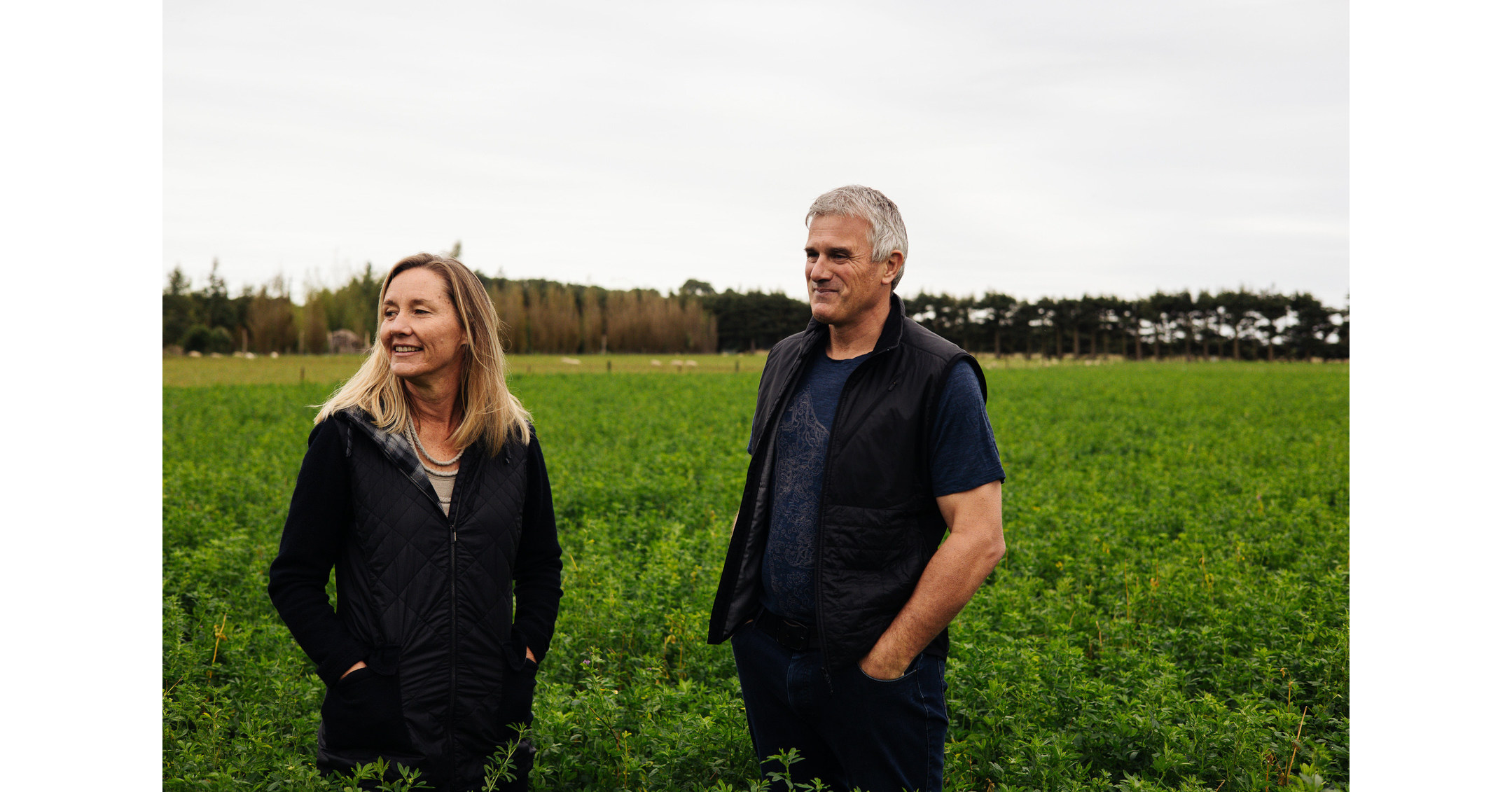 LEAFT FOODS YIELDS PROTEIN FROM THE WORLD'S MOST ABUNDANT SOURCE: LEAVES